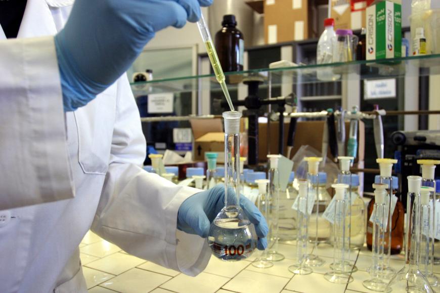 La Mole colorata di viola contro il papilloma virus | Consiglio ...